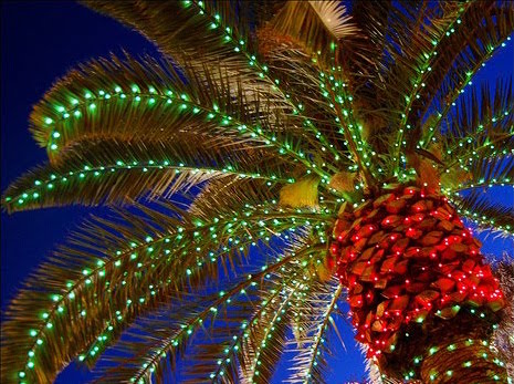 Christmas in the Gardens - Toys & Lights Drive - Embassy of Grenada